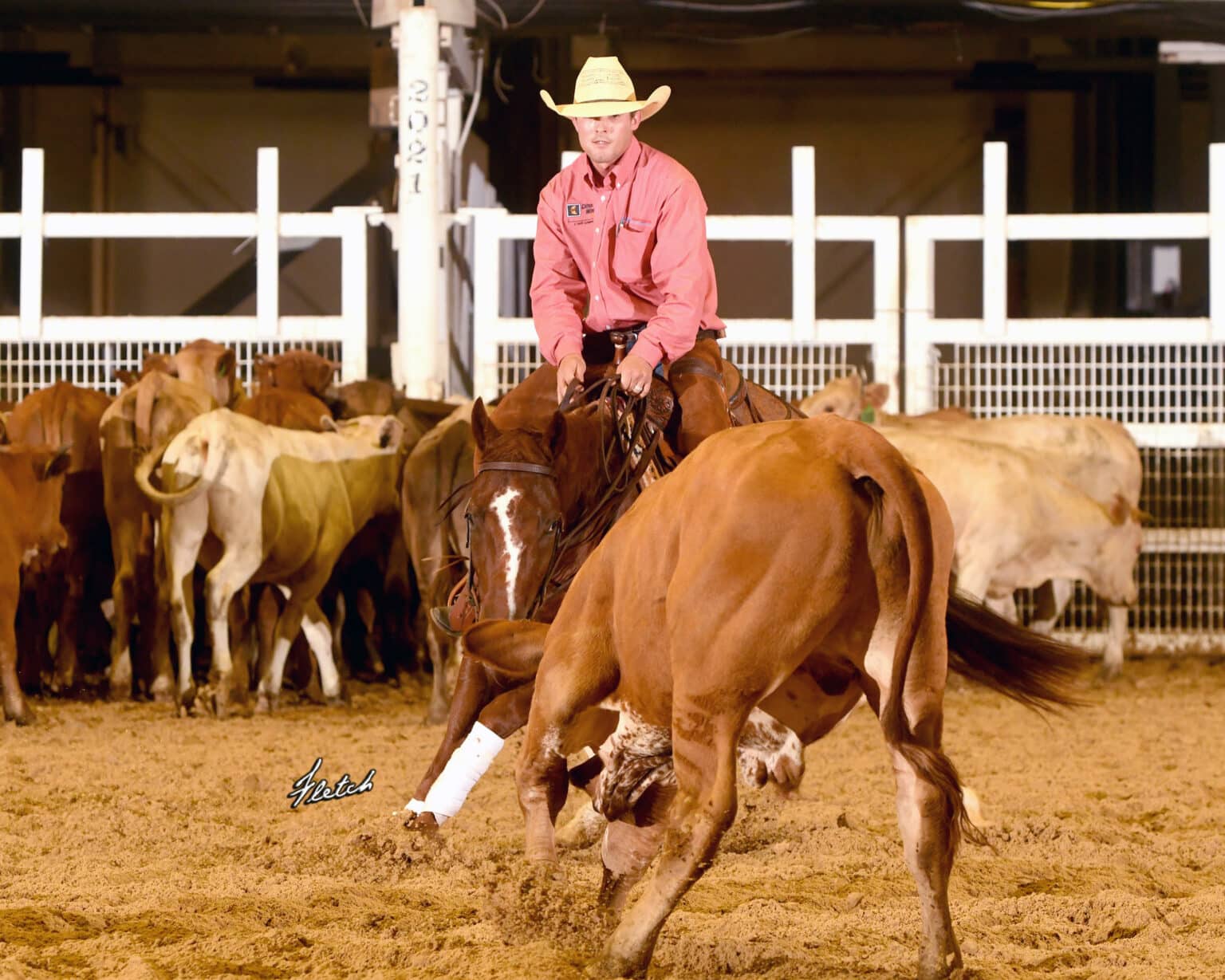 Membership – Southwest Reined Cow Horse Association